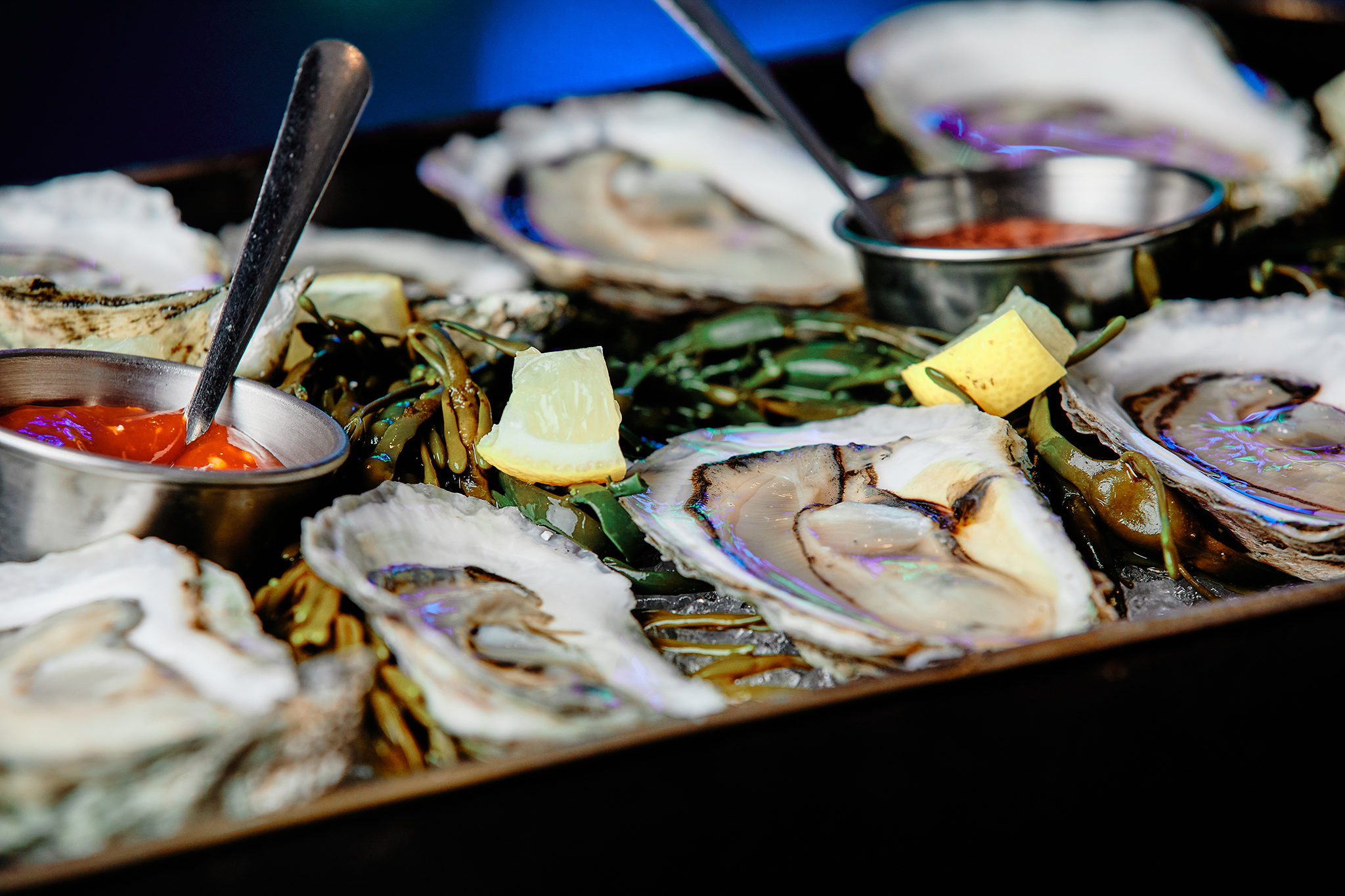 Dive Bar - Seafood Restaurant & Raw Bar Boston